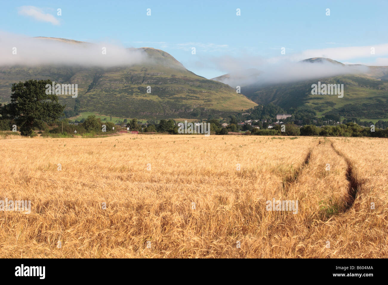 Ochil Hills Alva High Resolution Stock Photography and Images - Alamy