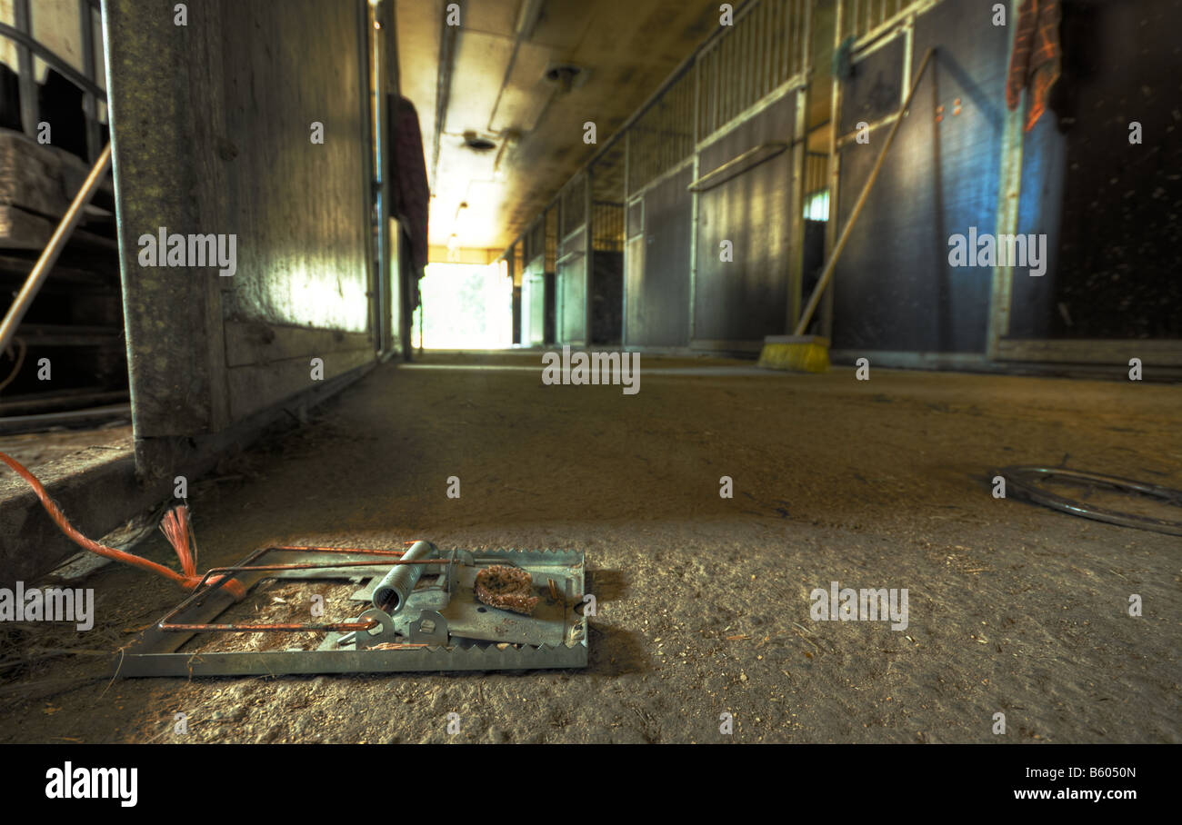 Rat trap hi-res stock photography and images - Alamy