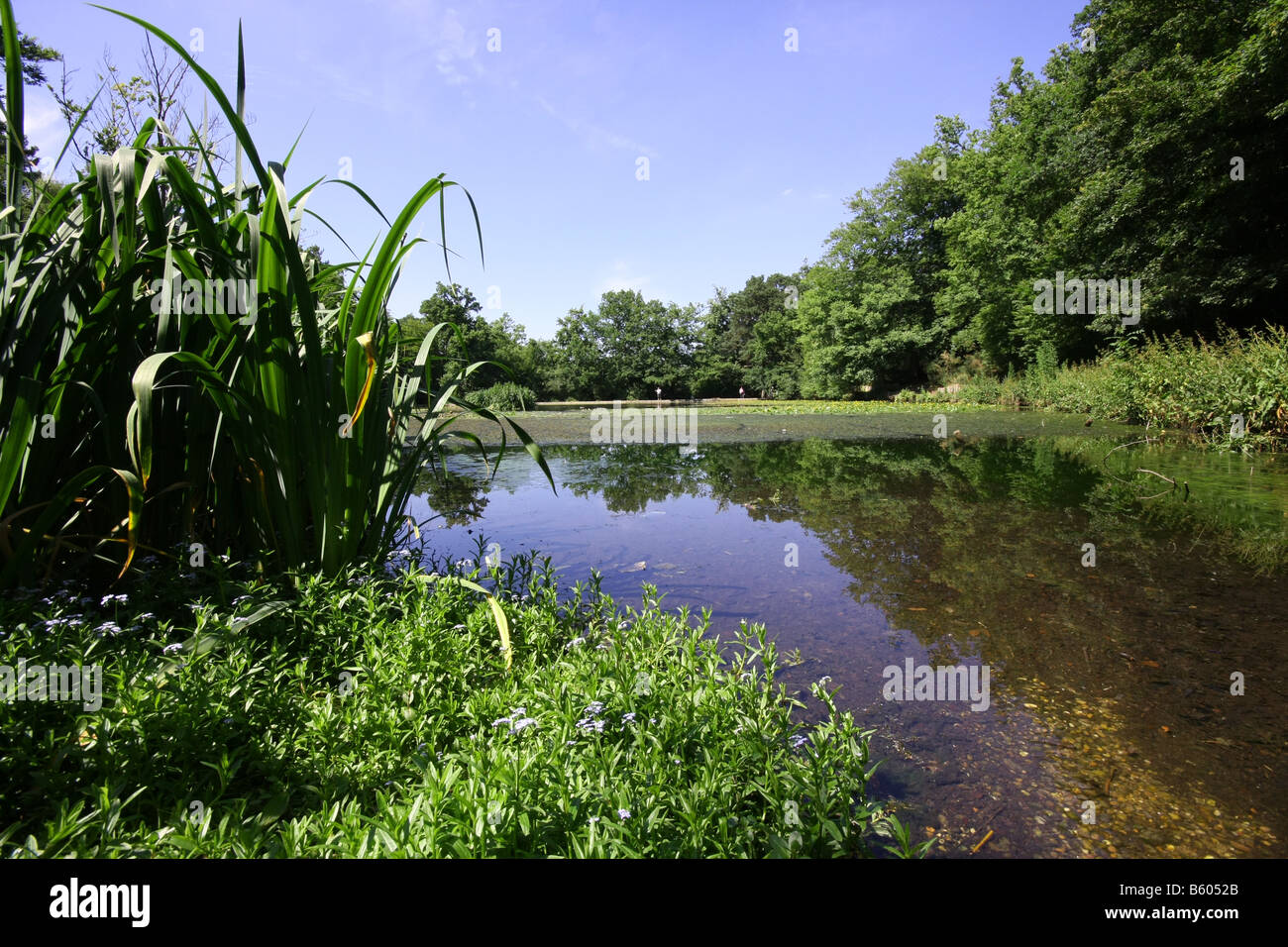 Keston lakes near Orpington Kent UK Stock Photo - Alamy