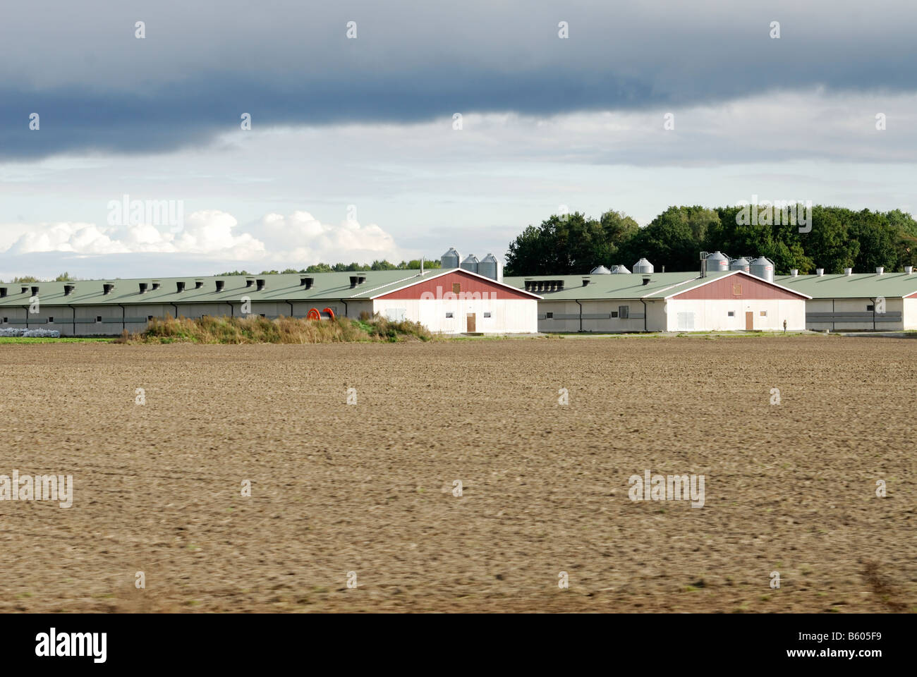 Sweden farms Sweden Stock Photo - Alamy
