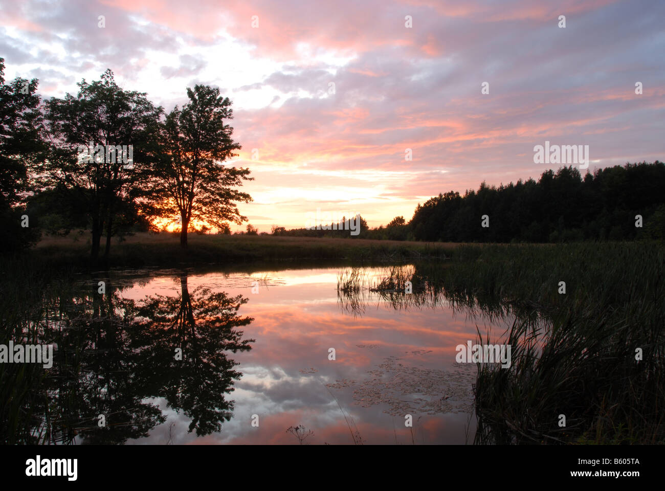 sunset sky over the forest and the lake Stock Photo - Alamy