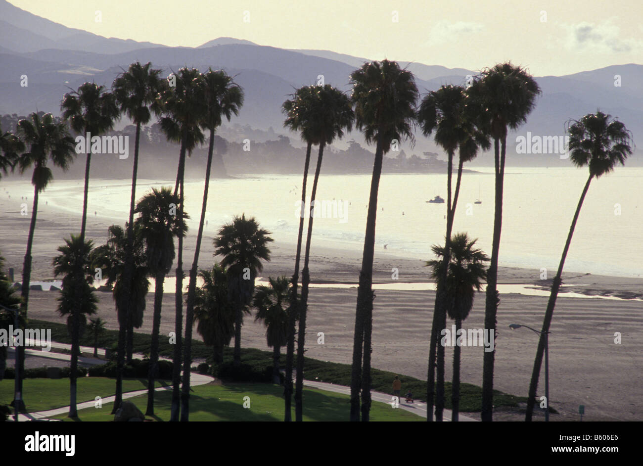 Beach, Palm Trees, Santa Barbara, California, America, USA Stock Photo ...