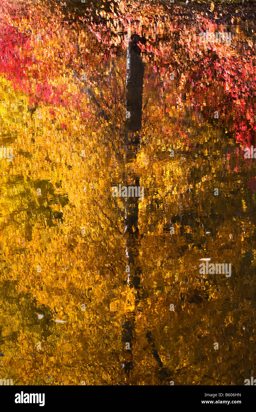 Fall Colors Tree Reflections Wenatchee River Stevens Pass Leavenworth ...