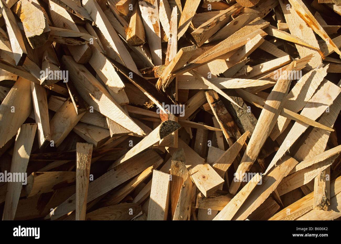 Waste sawn ends of round fencing posts (from making points) used for ...