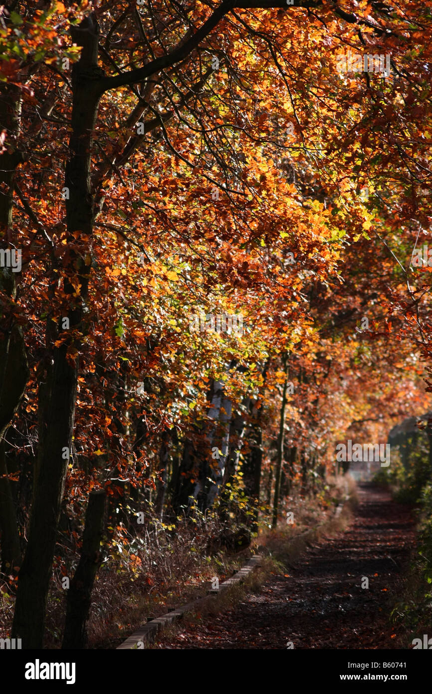 Petts wood hi-res stock photography and images - Alamy