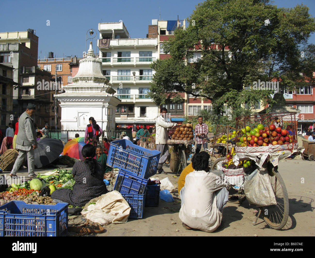 Bramha tol hi-res stock photography and images - Alamy
