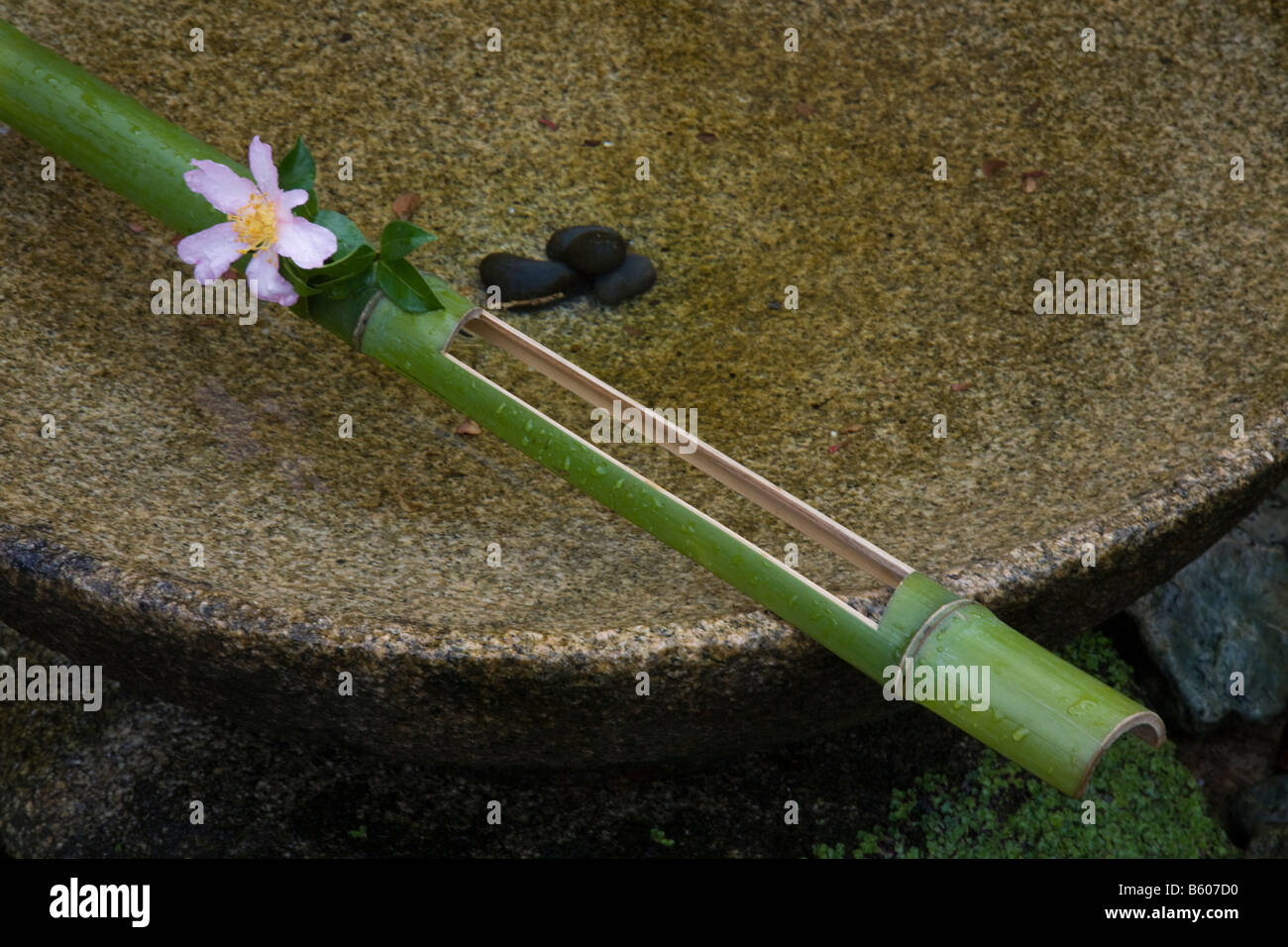 Water basin hi-res stock photography and images - Alamy