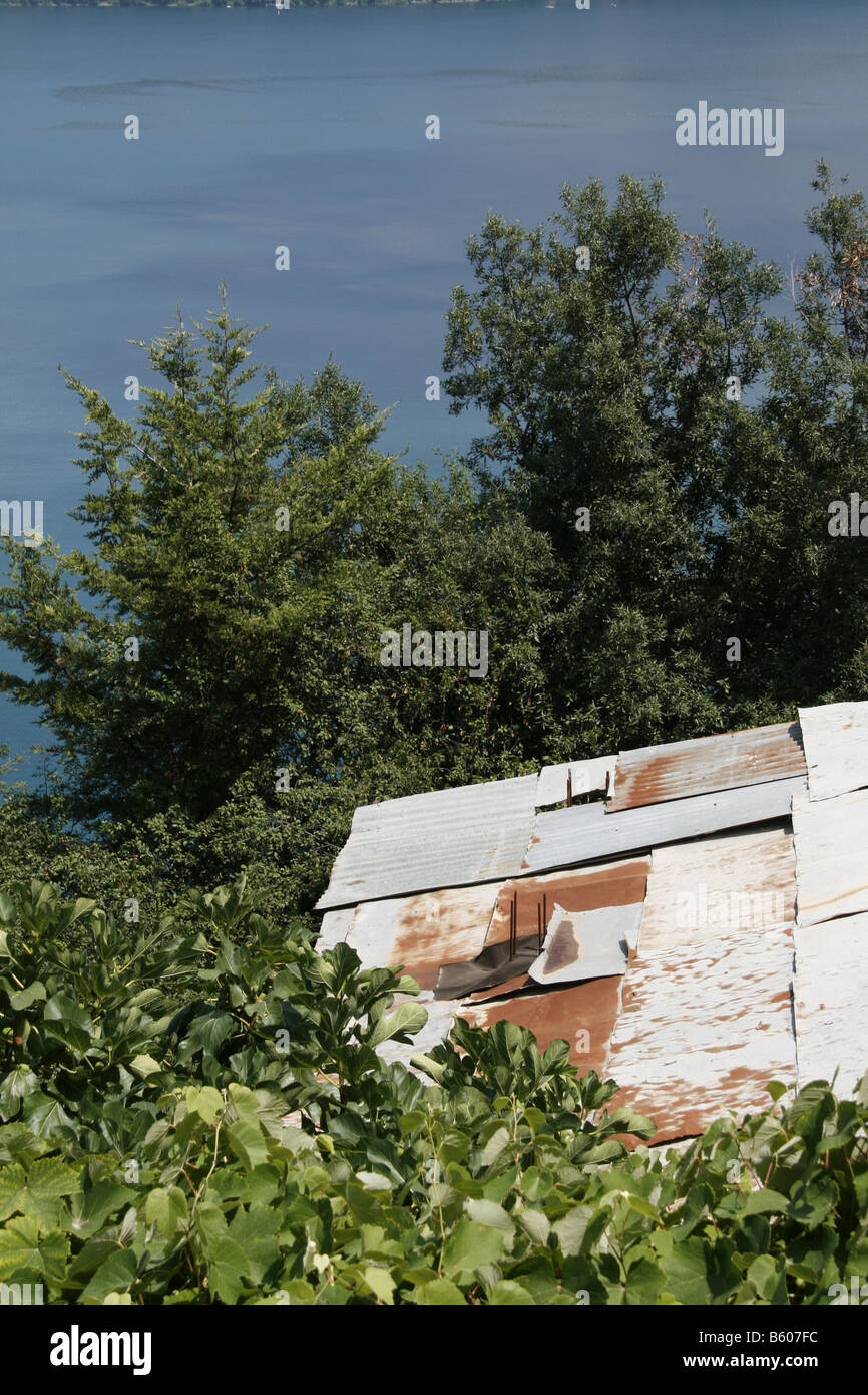 Old overgrown ramshackle hut hi-res stock photography and images - Alamy
