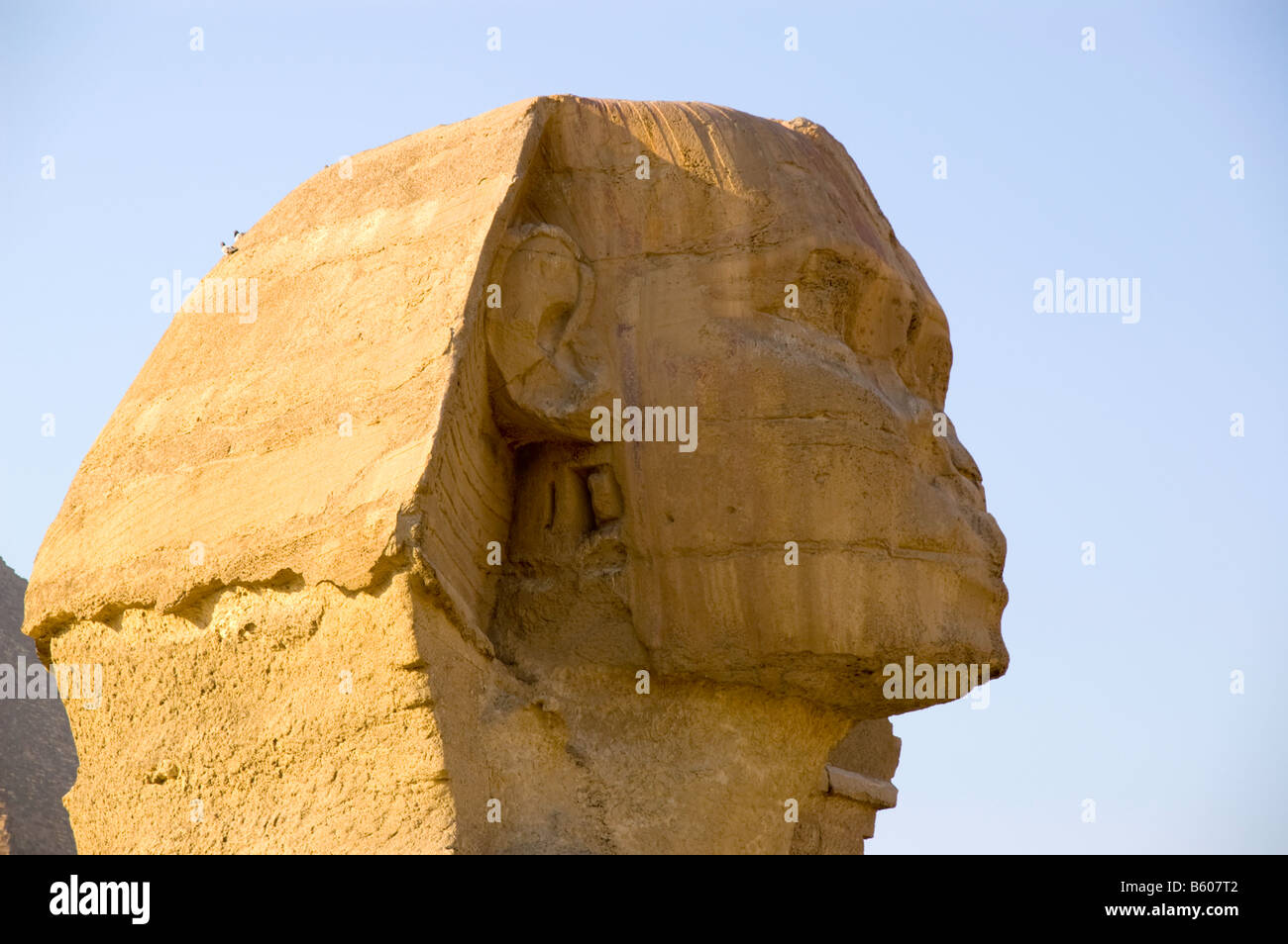 The Great Sphinx of Giza, Egypt Stock Photo - Alamy