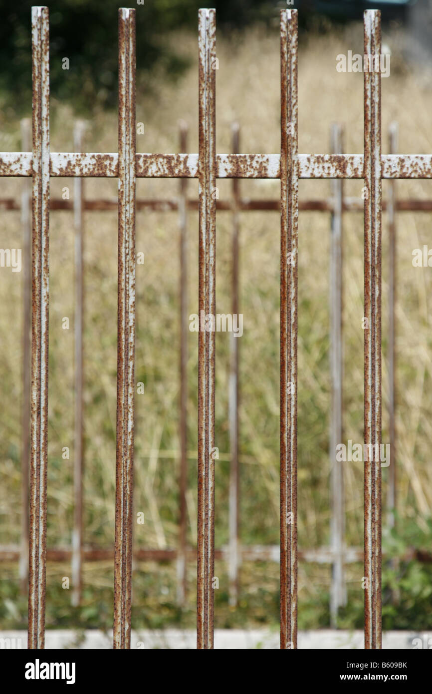 old rusty railings fence and long grass outdoors Stock Photo - Alamy