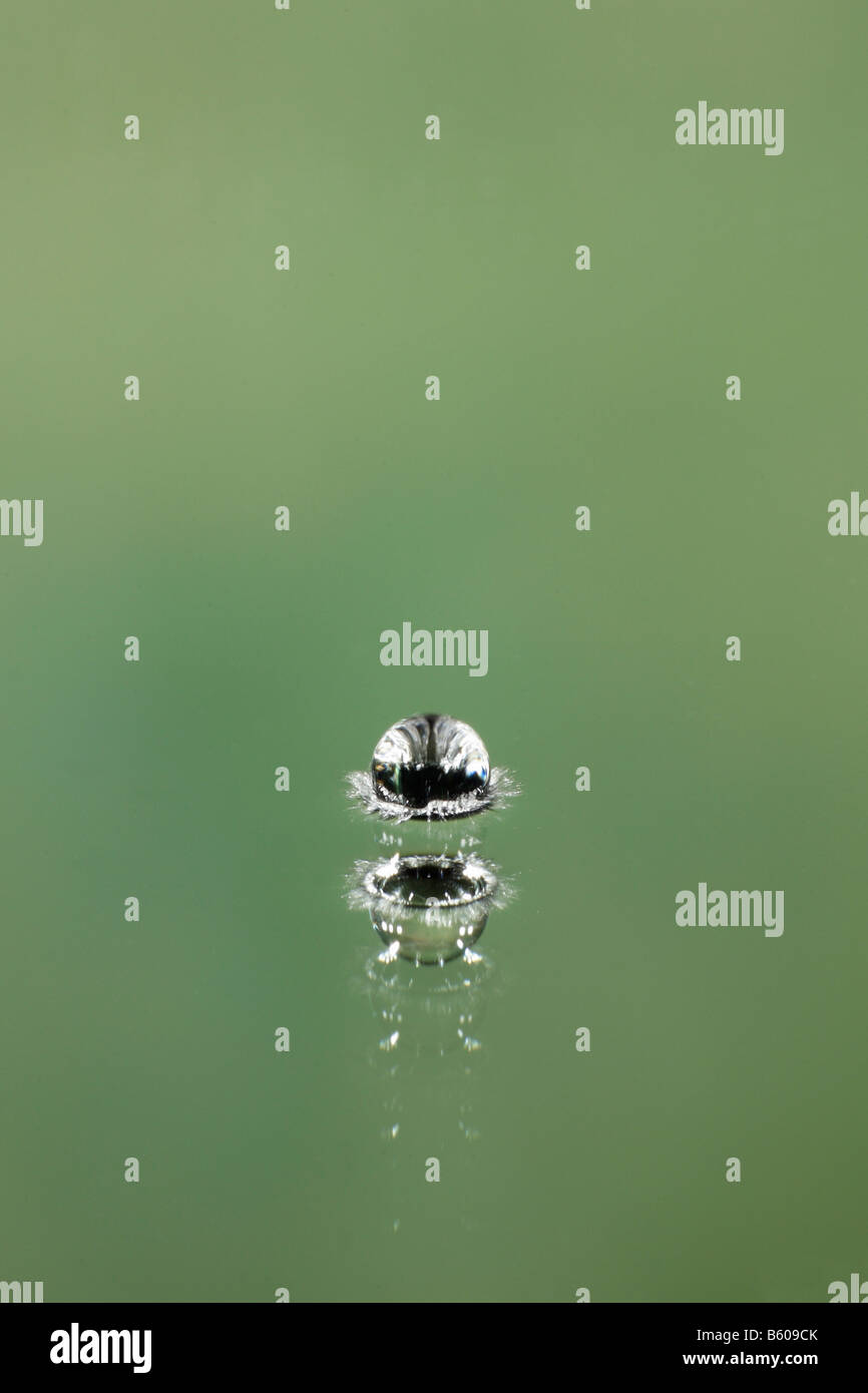 Water drop splashing down Stock Photo - Alamy