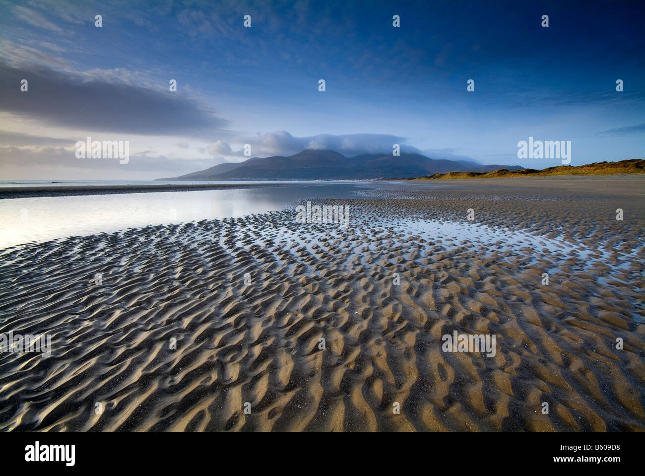 Irish Landscape image of dunes, beach and coast at Murlough Beach ...