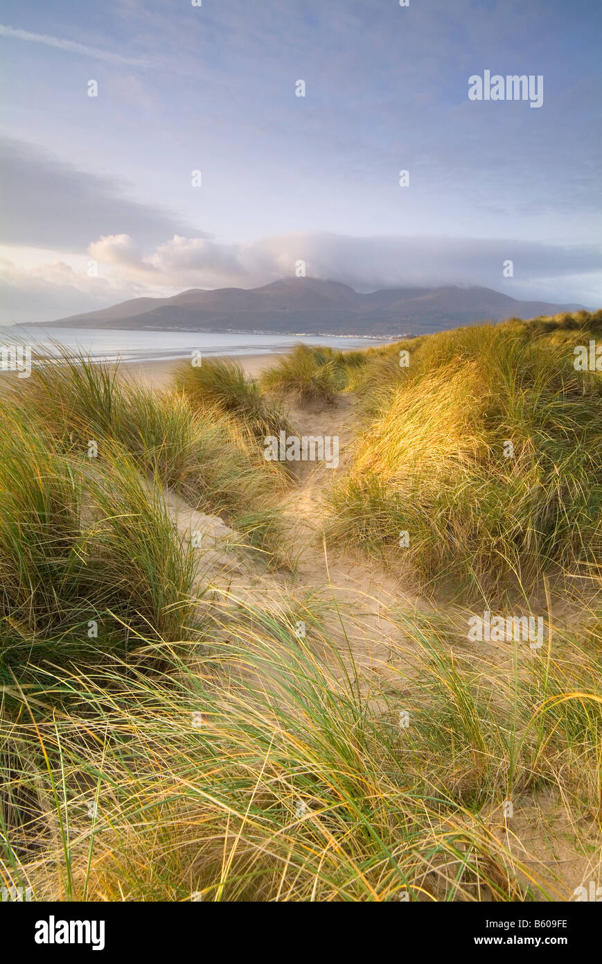 Irish Landscape image of dunes, beach and coast at Murlough Beach ...