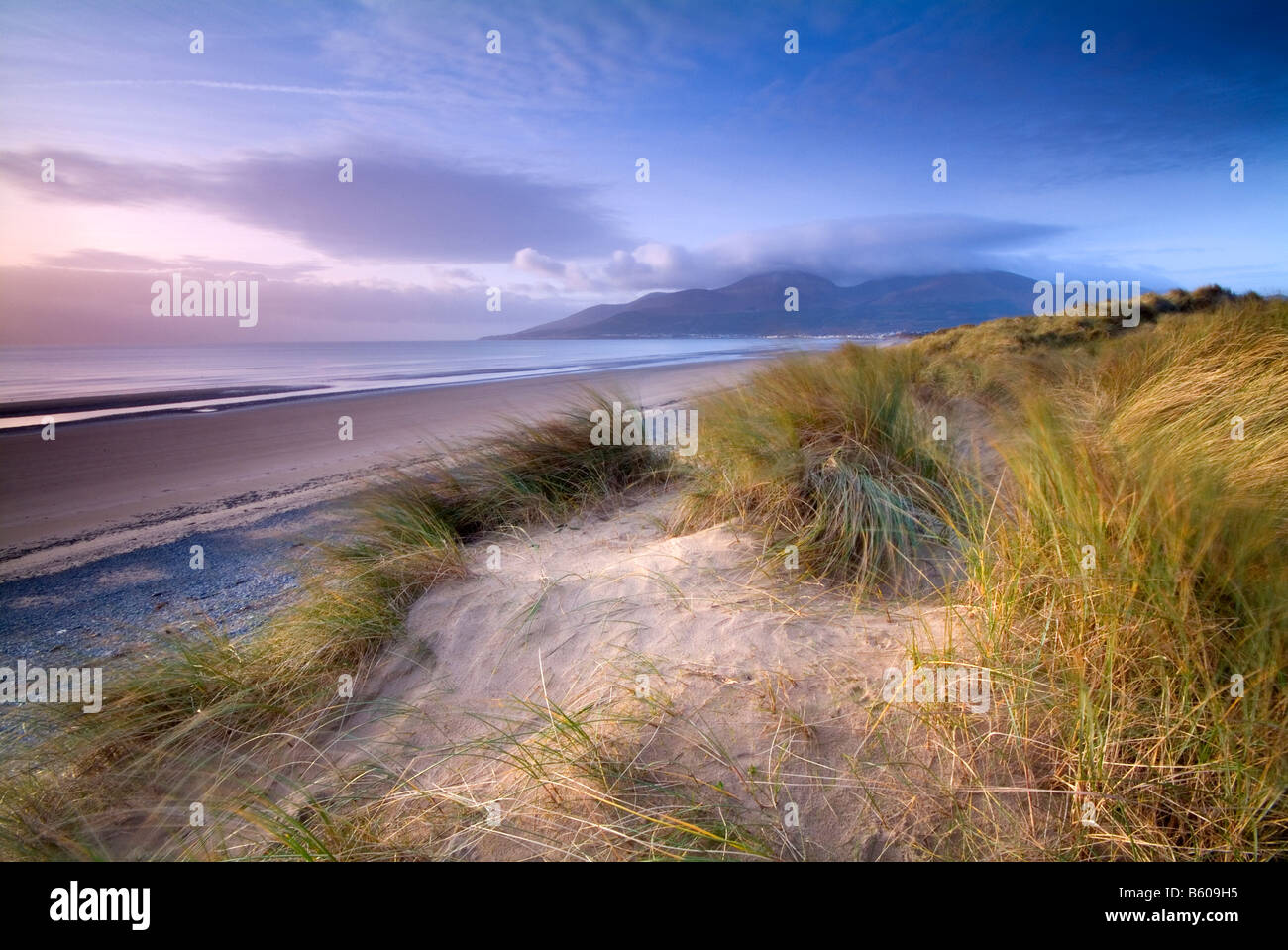 Irish Landscape image of dunes, beach and coast at Murlough Beach ...