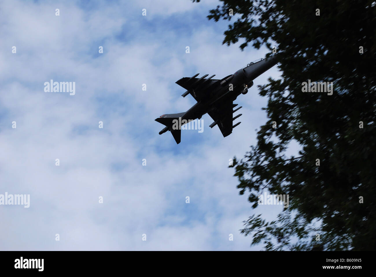 RAF GR7/7A Harrier flying overhead disappearing behind trees flying ...