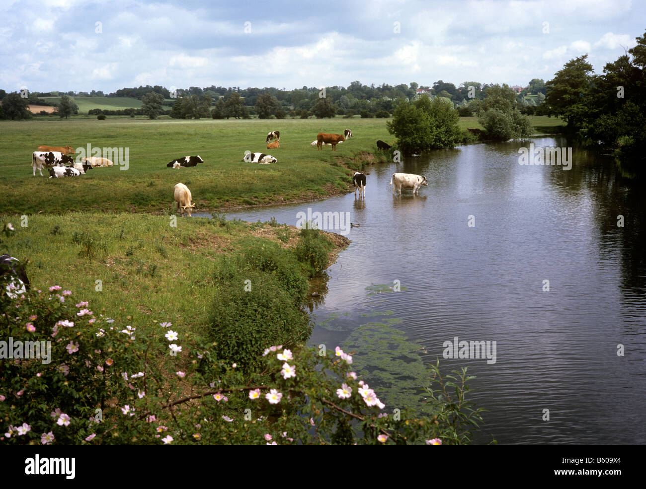 Dedham essex hi-res stock photography and images - Alamy