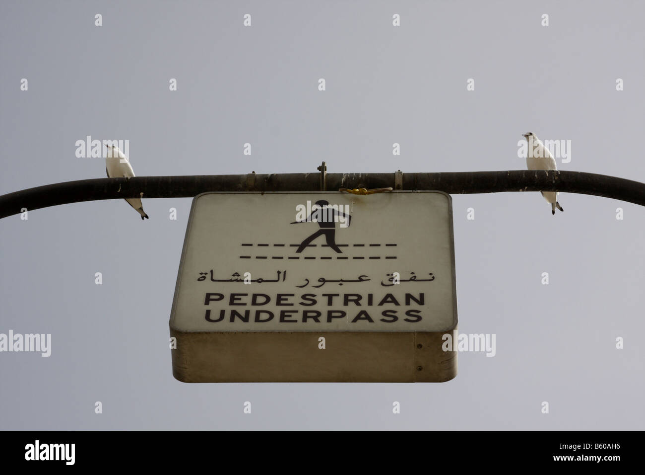 Traffic signals board hi-res stock photography and images - Alamy