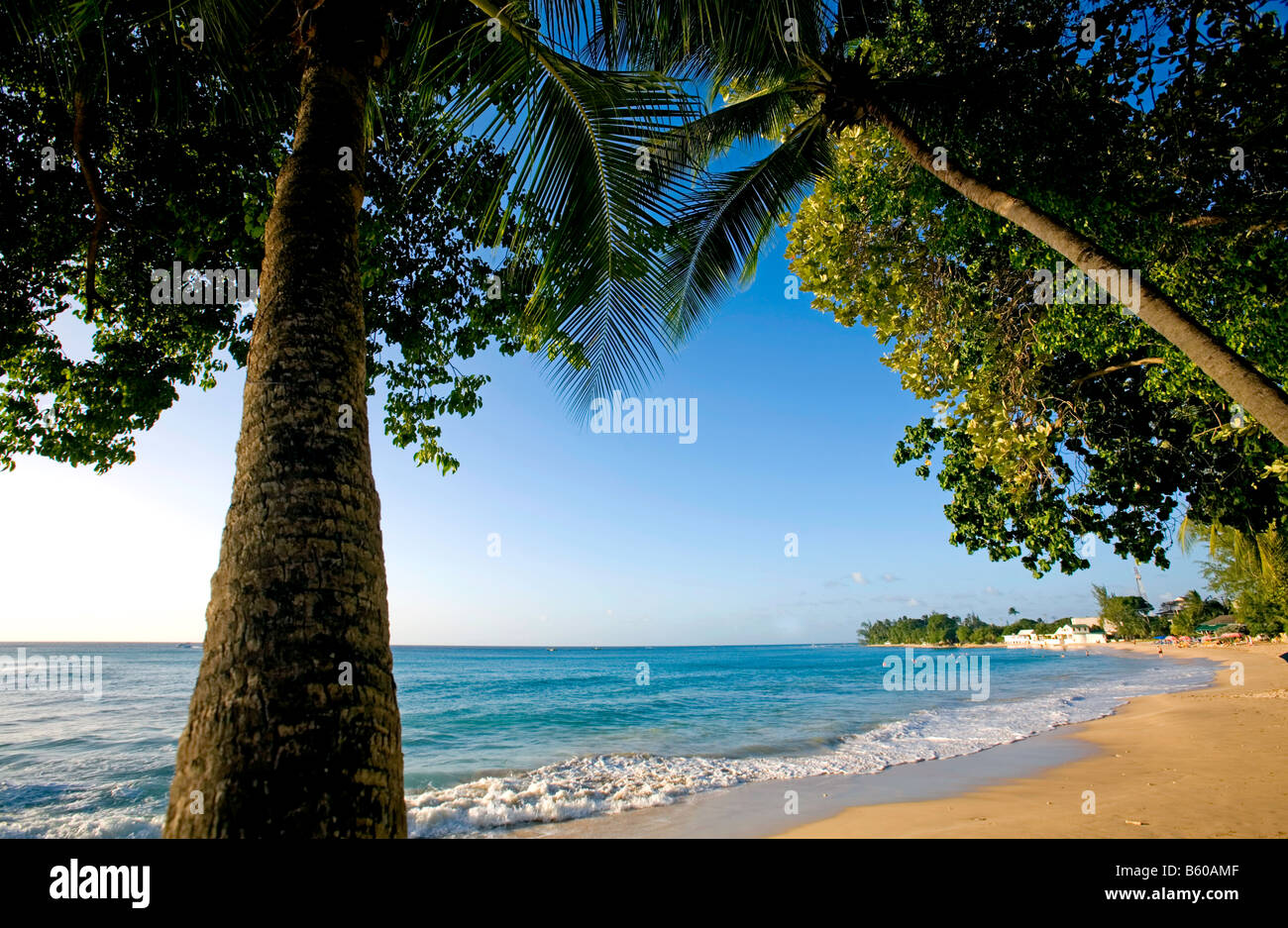 Tropical barbados hi-res stock photography and images - Alamy