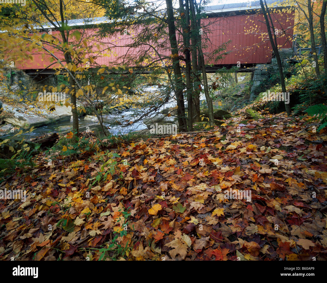 Mcconnell mill state park hi-res stock photography and images - Alamy