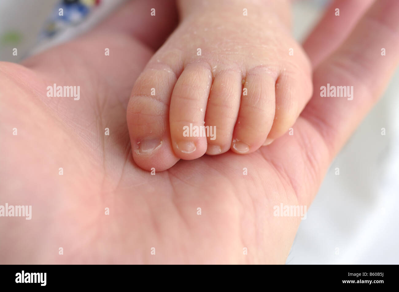 Baby foot in palm Stock Photo - Alamy