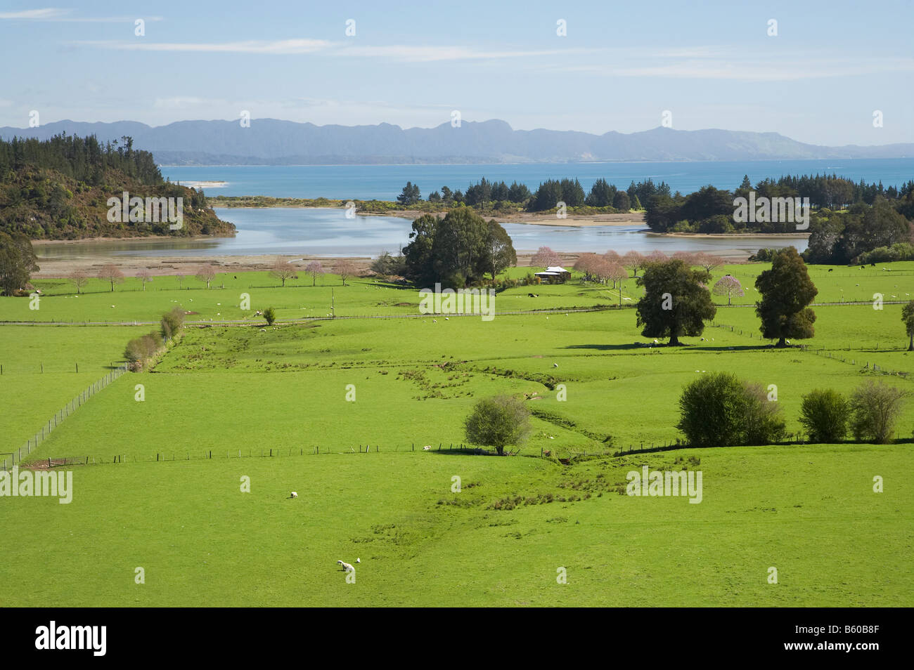 Golden bay lookout hi-res stock photography and images - Alamy