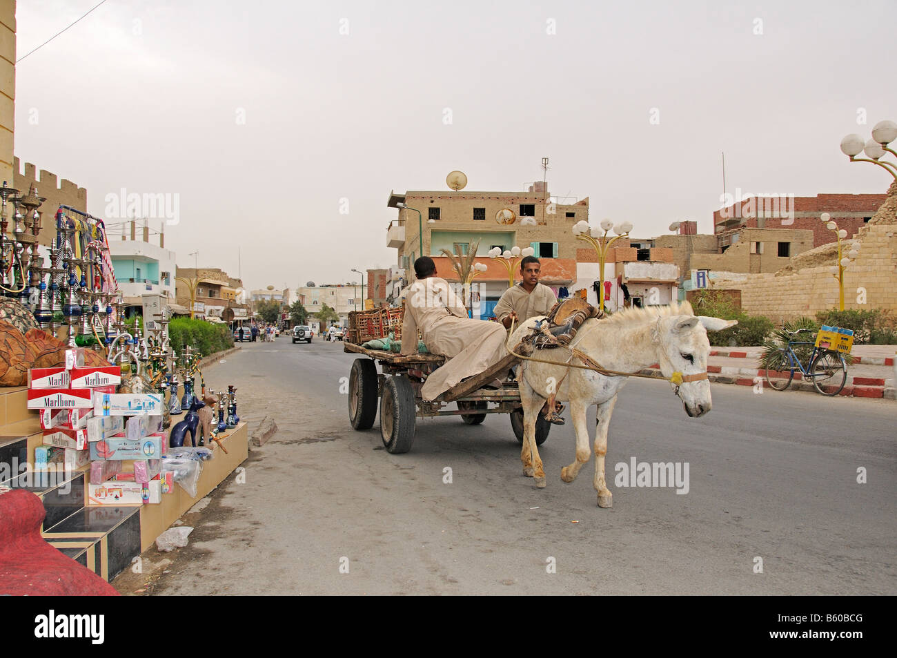 donkey pulled carriage Stock Photo - Alamy