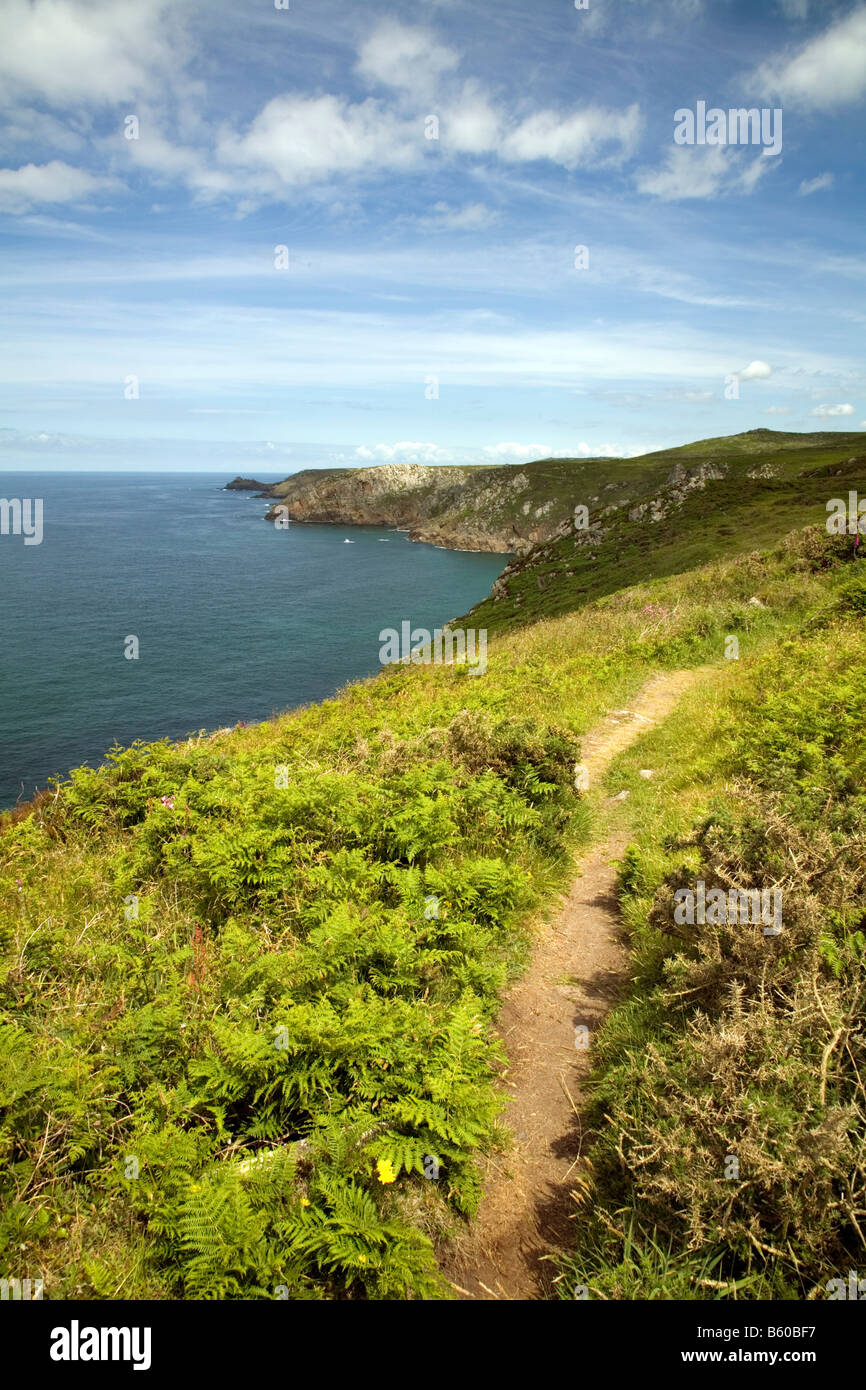 Cornwall coast footpath hi-res stock photography and images - Alamy