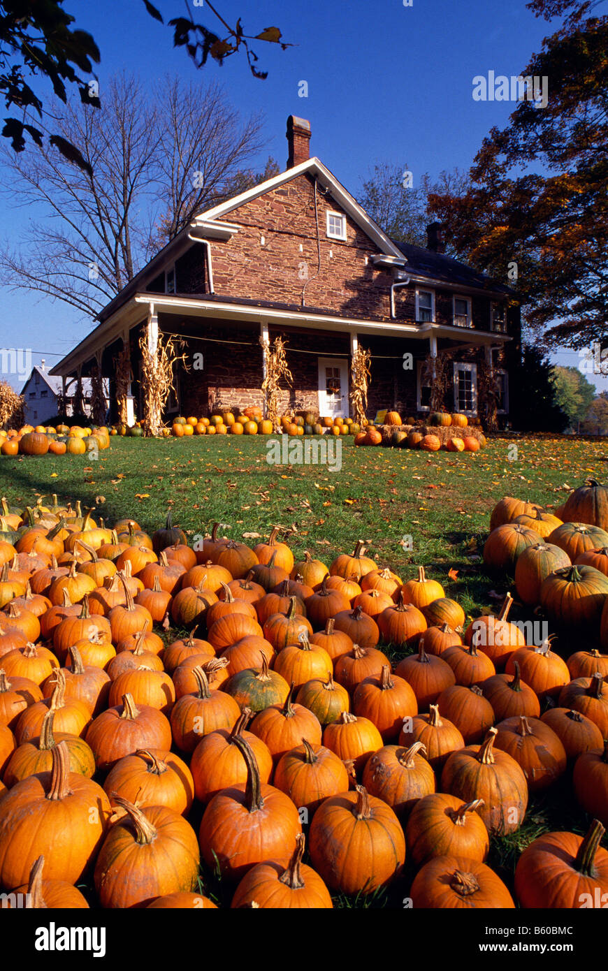 Trauger farm hi-res stock photography and images - Alamy