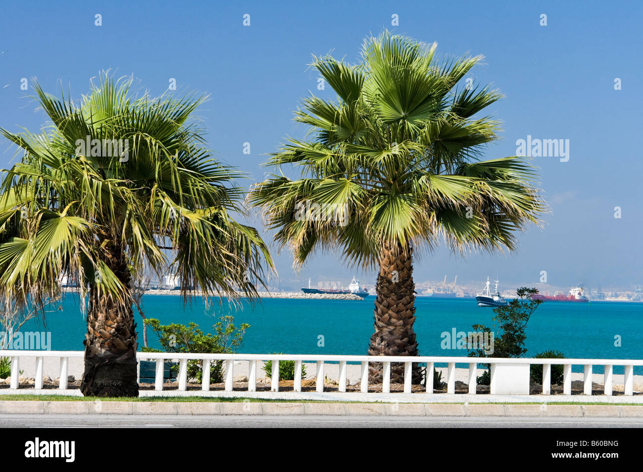 Gibraltar, natural, sky, tree, water,sea, tourism, national, tourist ...