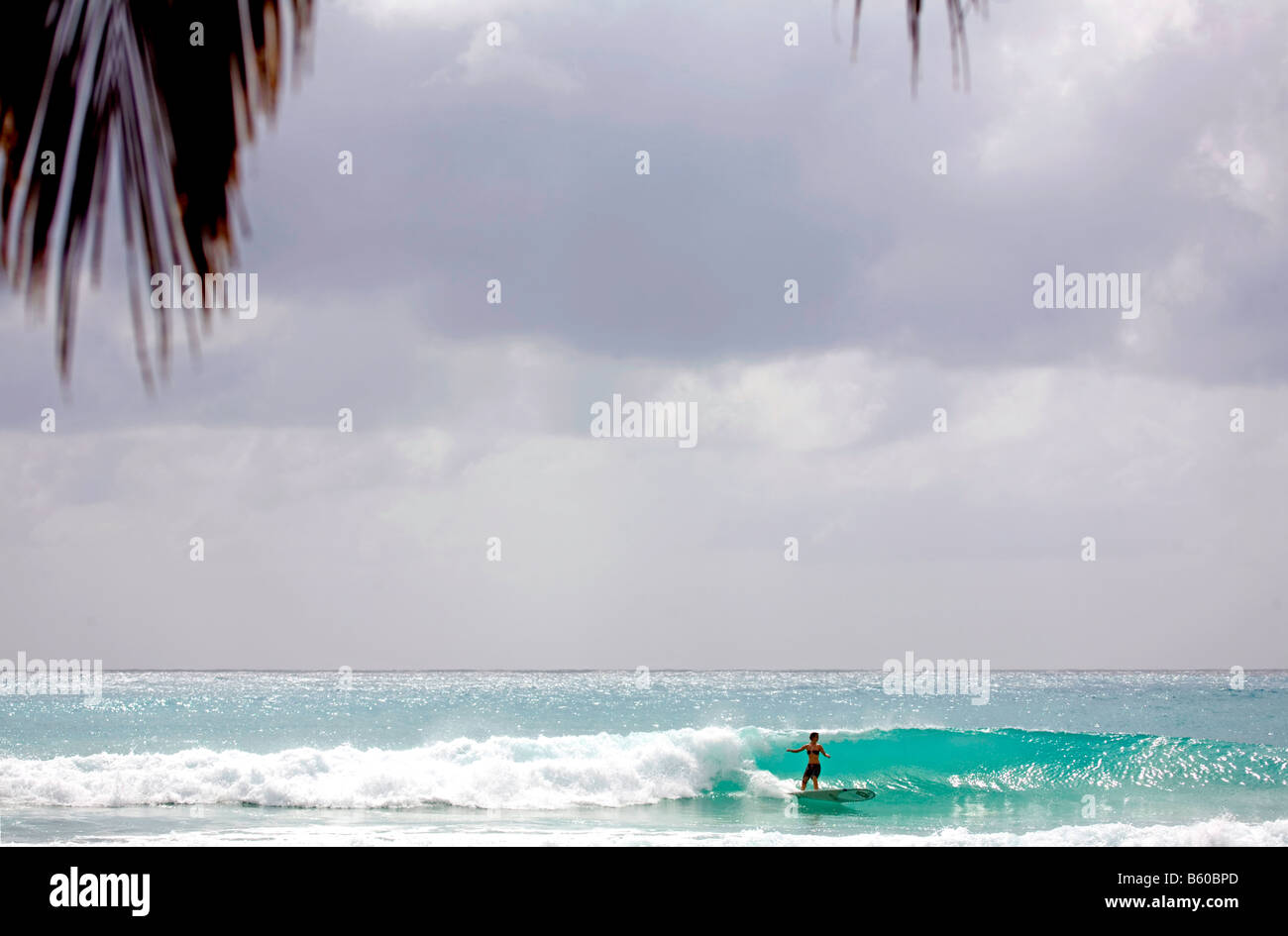 South coast surfing hi-res stock photography and images - Alamy