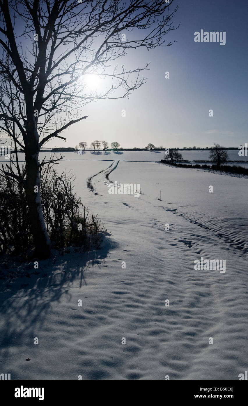Snow covered farm road Stock Photo - Alamy