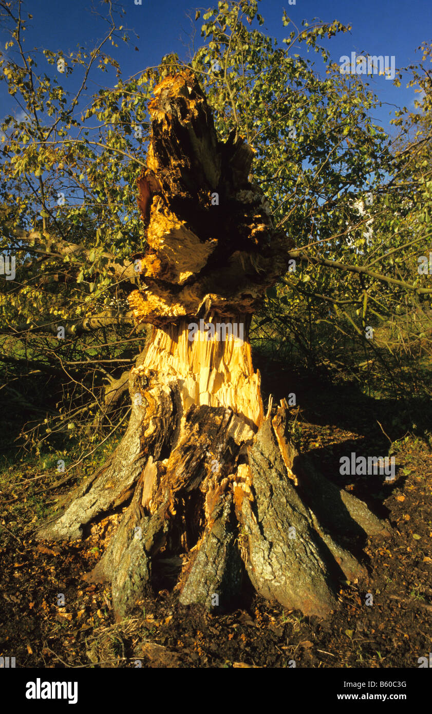 1987 great storm hi-res stock photography and images - Alamy