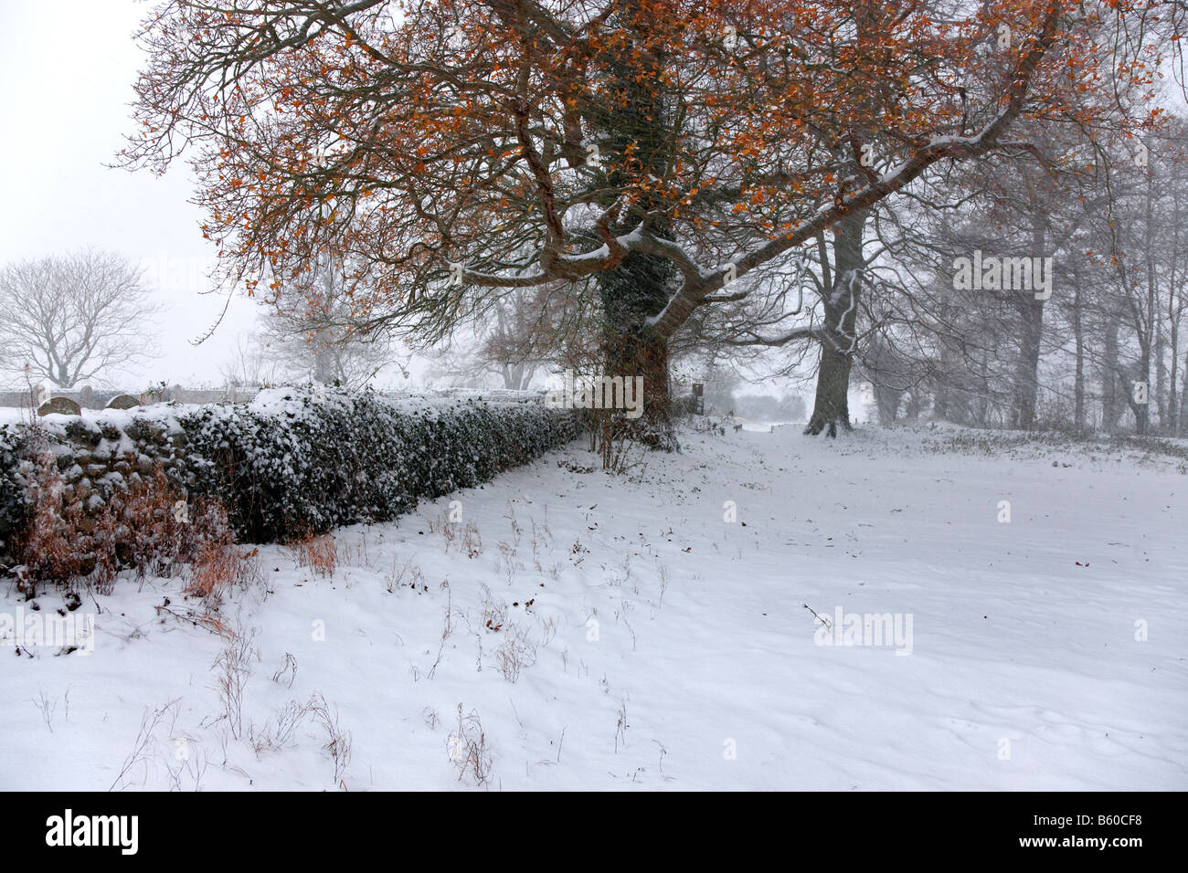 The "British Countryside in Winter" Norfolk, Uk Stock Photo - Alamy