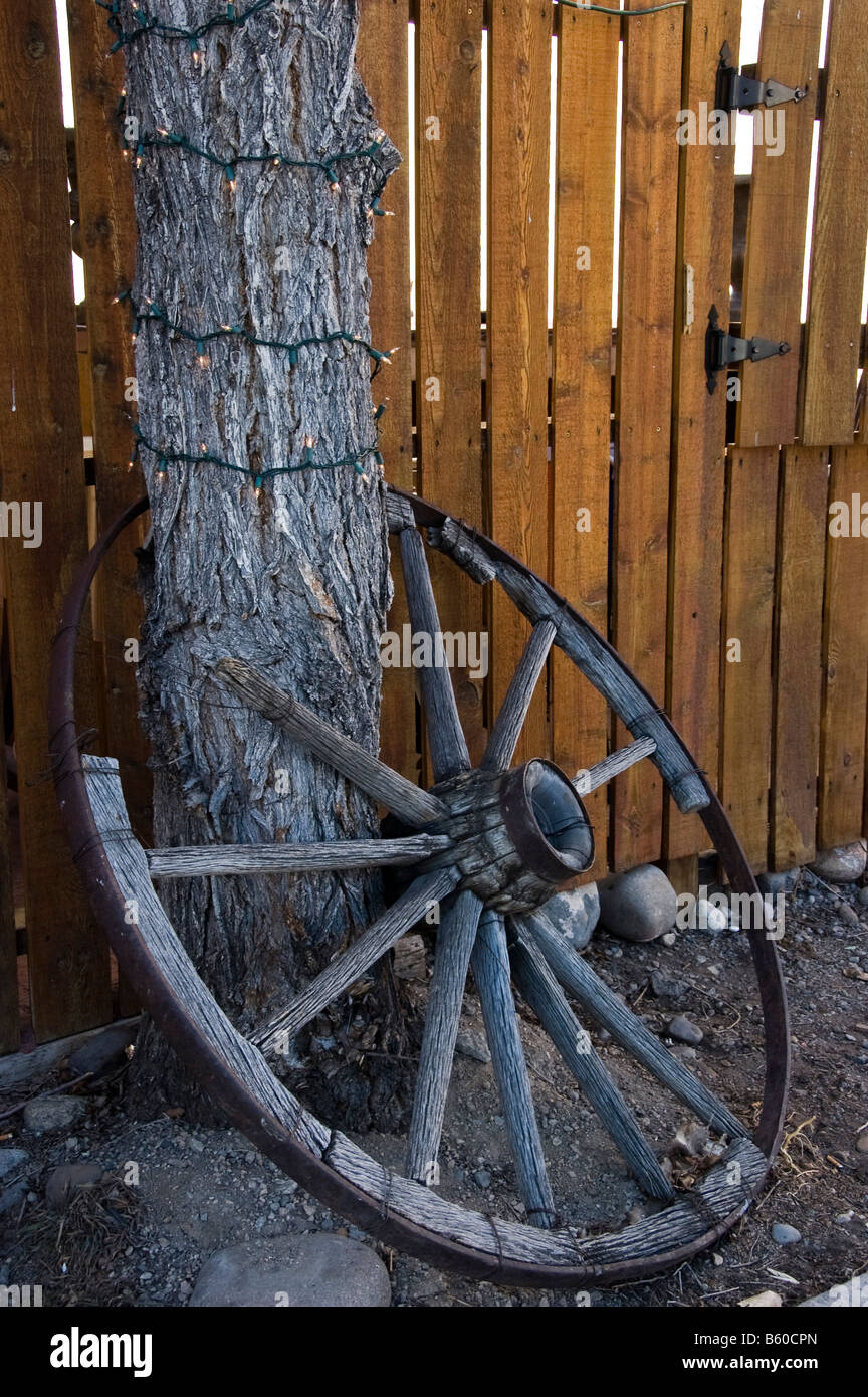 Tree growing through wagon wheel, downtown Salida, Colorado Stock Photo ...