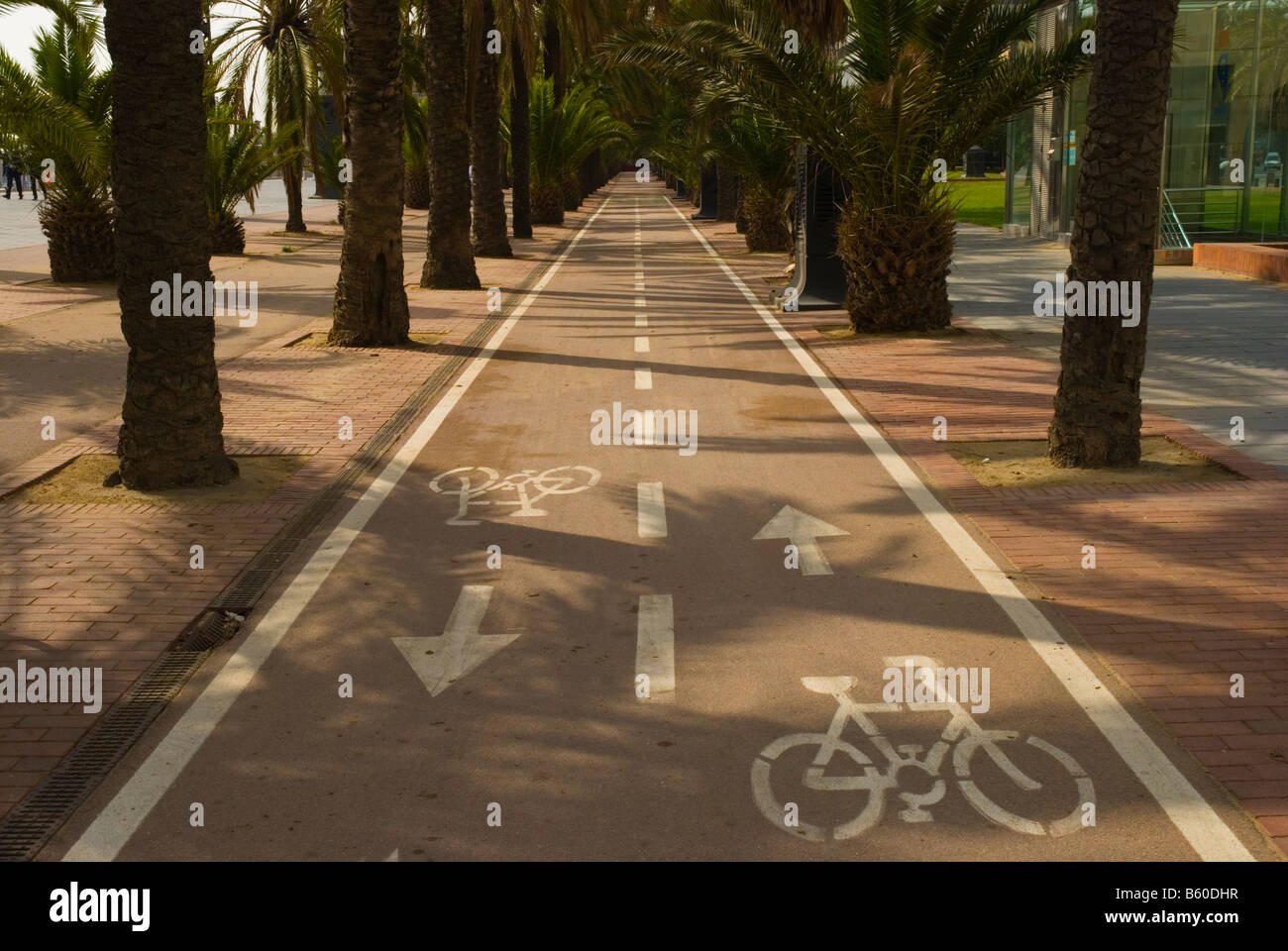 Bicycle lanes at Port Olimpico in Barcelona Spain Europe Stock Photo ...