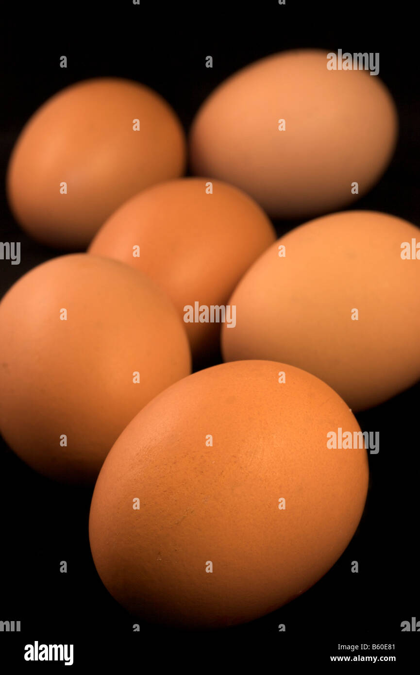 Collection of eggs Stock Photo - Alamy