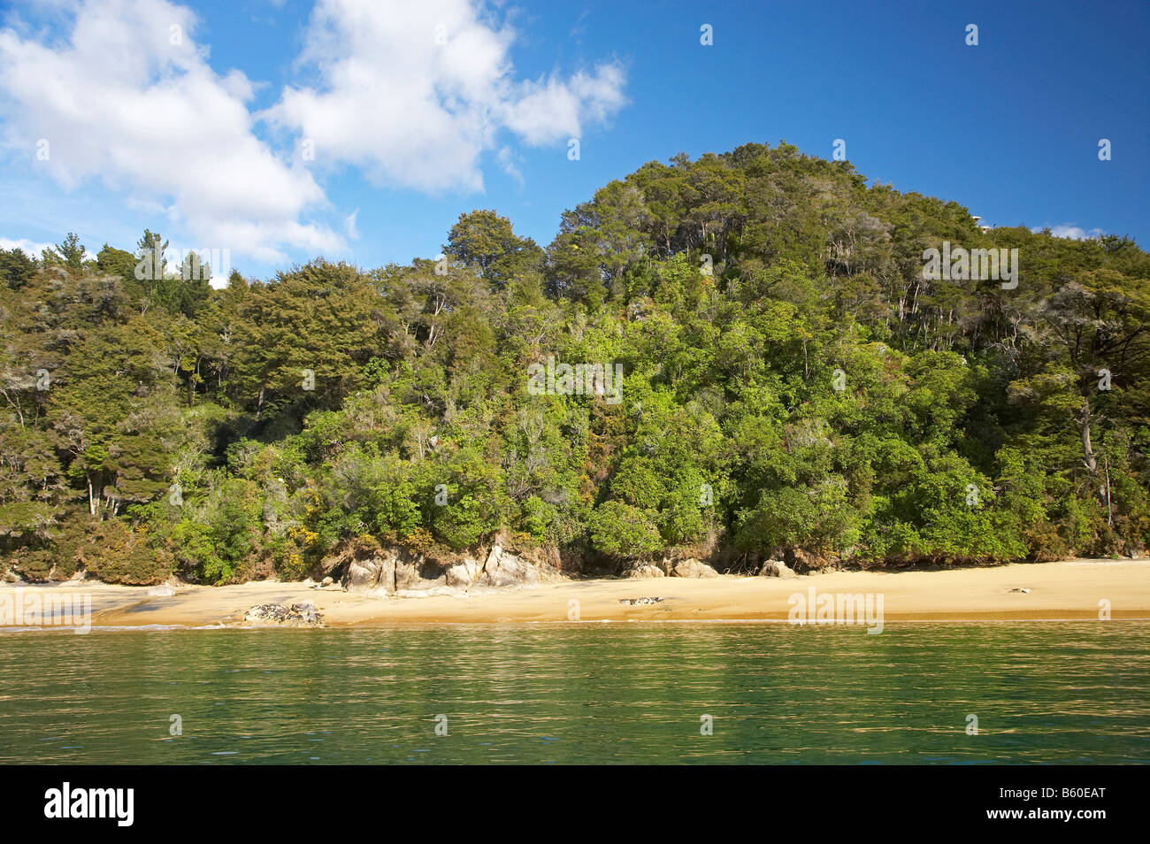 Coastline Abel Tasman National Park Nelson Region South Island New Zealand Stock Photo - Alamy