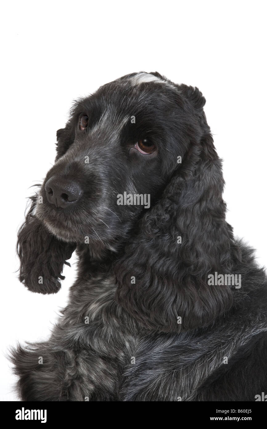 Stand walk run hi-res stock photography and images - Alamy