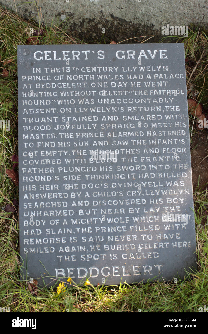 Plaque on slate explaining the story of Gelert s grave at Beddgelert ...