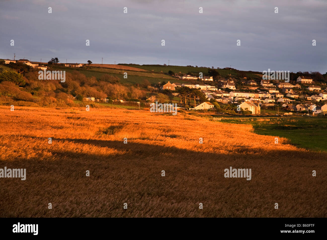 Marazion marsh in cornwall hi-res stock photography and images - Alamy