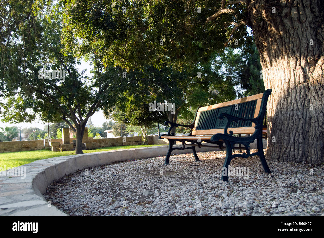 Bench under the tree Stock Photo - Alamy