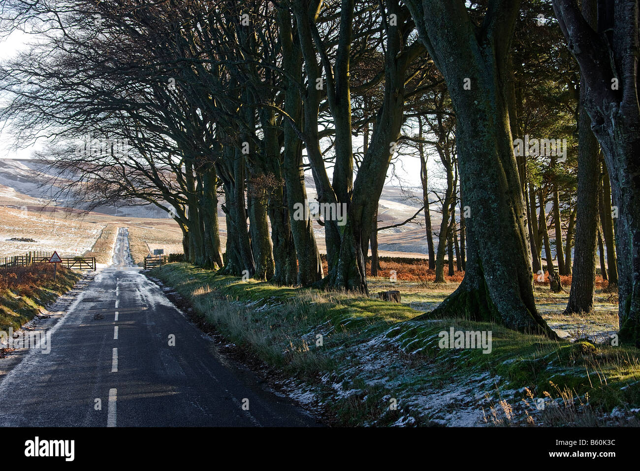 Cattle grid.The Borders.Scotland Stock Photo - Alamy