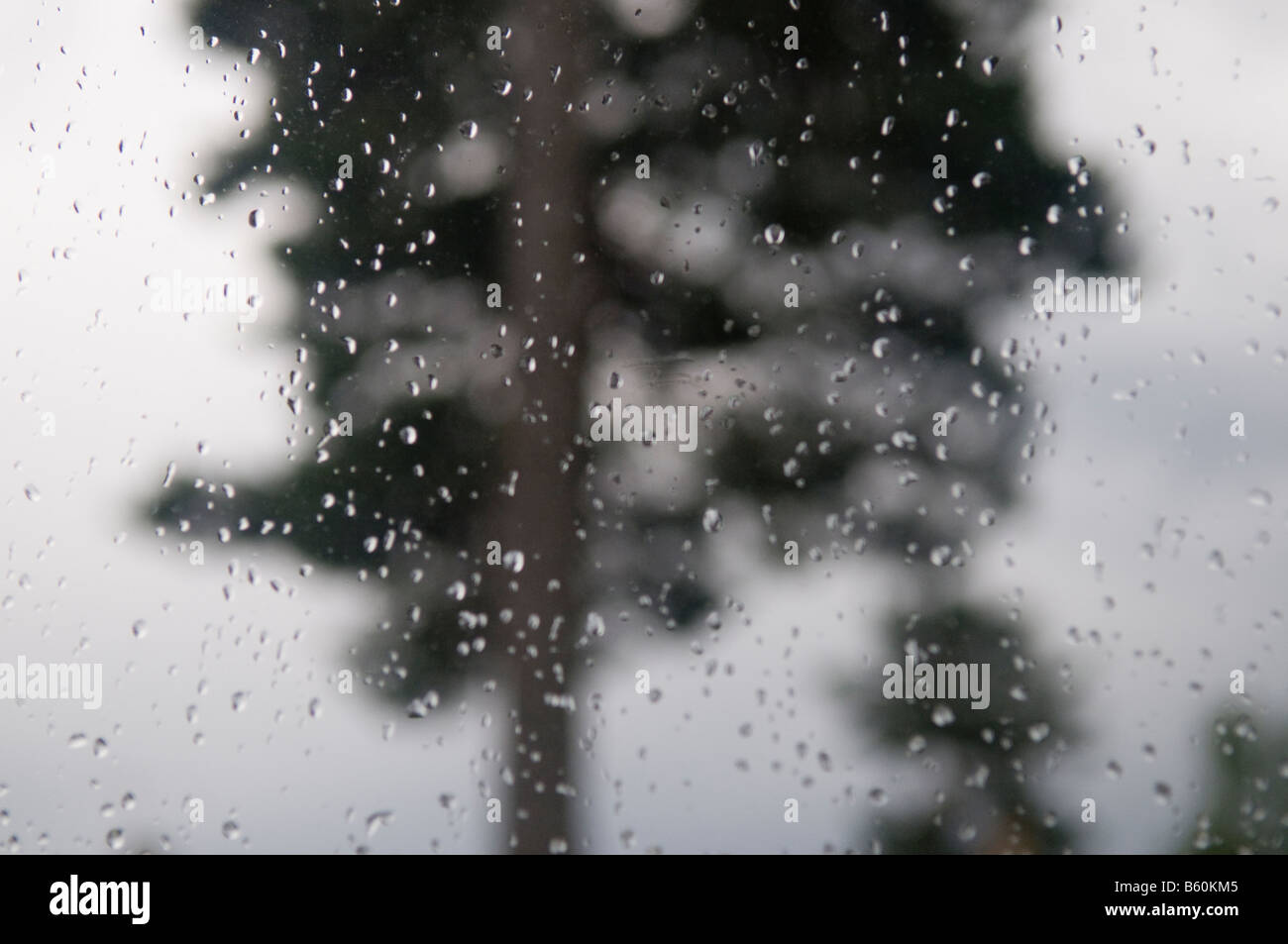 Rain on a window Stock Photo - Alamy