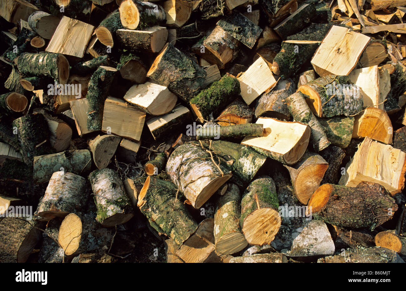 Chopped logs for firewood, UK Stock Photo - Alamy