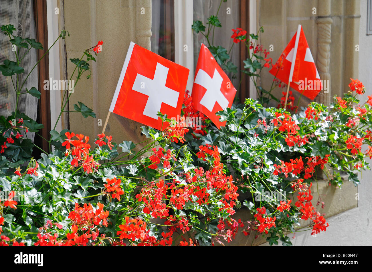 Swiss flags in flower boxes on a window sill, Zofingen, Aargau ...