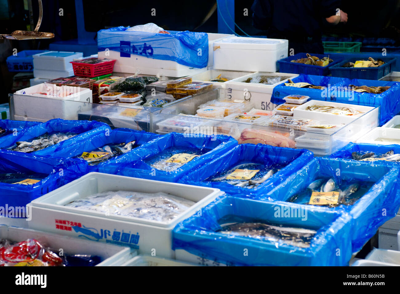 Boxes of fish at The Tsukiji Fish Market in Tokyo, Japan Stock Photo ...