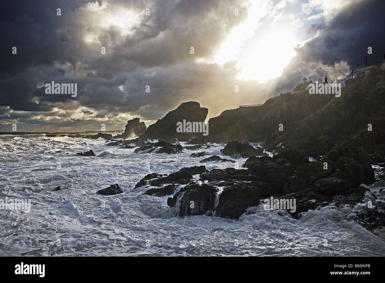 Strong winds St Abbs. The Borders. Scotland Stock Photo - Alamy