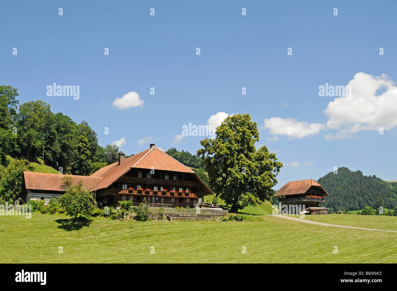 Emmental valley berne switzerland hi-res stock photography and images ...