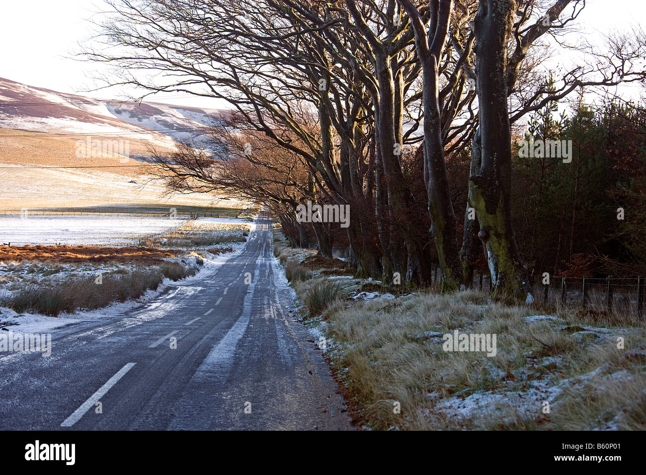 Roads of ice. The Borders. Scotland Stock Photo - Alamy