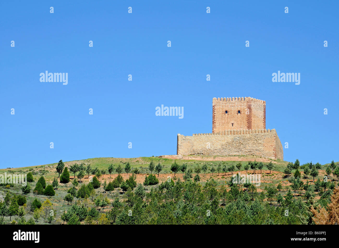 Alcazar Castle, fortress, tower, Molina de Aragon, Castille La Mancha ...